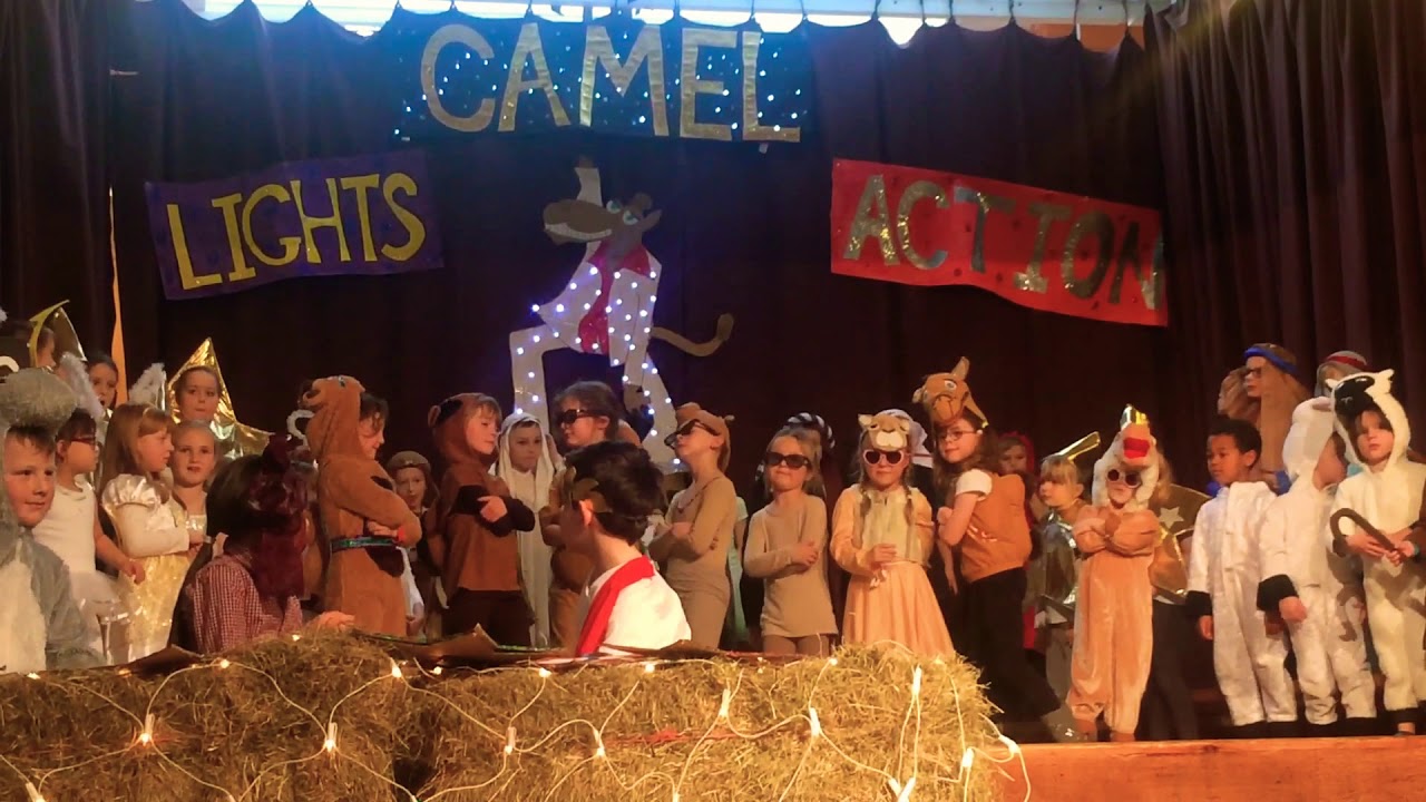 Funky camel - YouTube