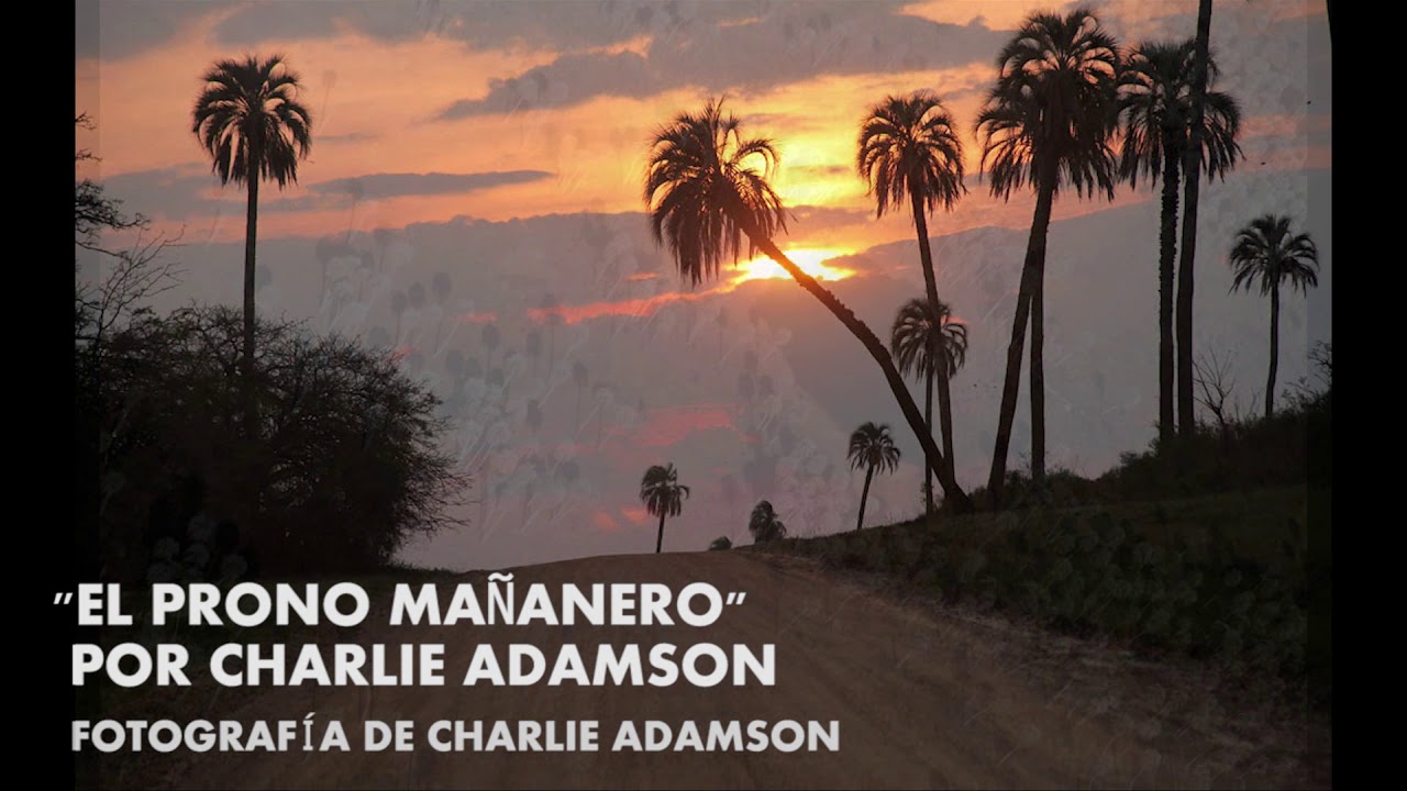 "Prono mañanero" de Charlie Adamson. 7 de junio - YouTube