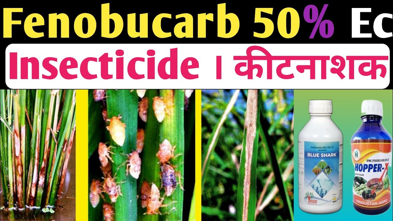 Fenobucarb 50%Ec/Fenobucarb Insecticide/Fenobucarb Insecticide Details ...