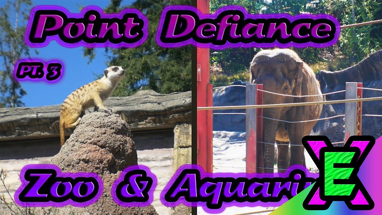 Point Defiance Zoo & Aquarium Pt.3 (2016) - YouTube