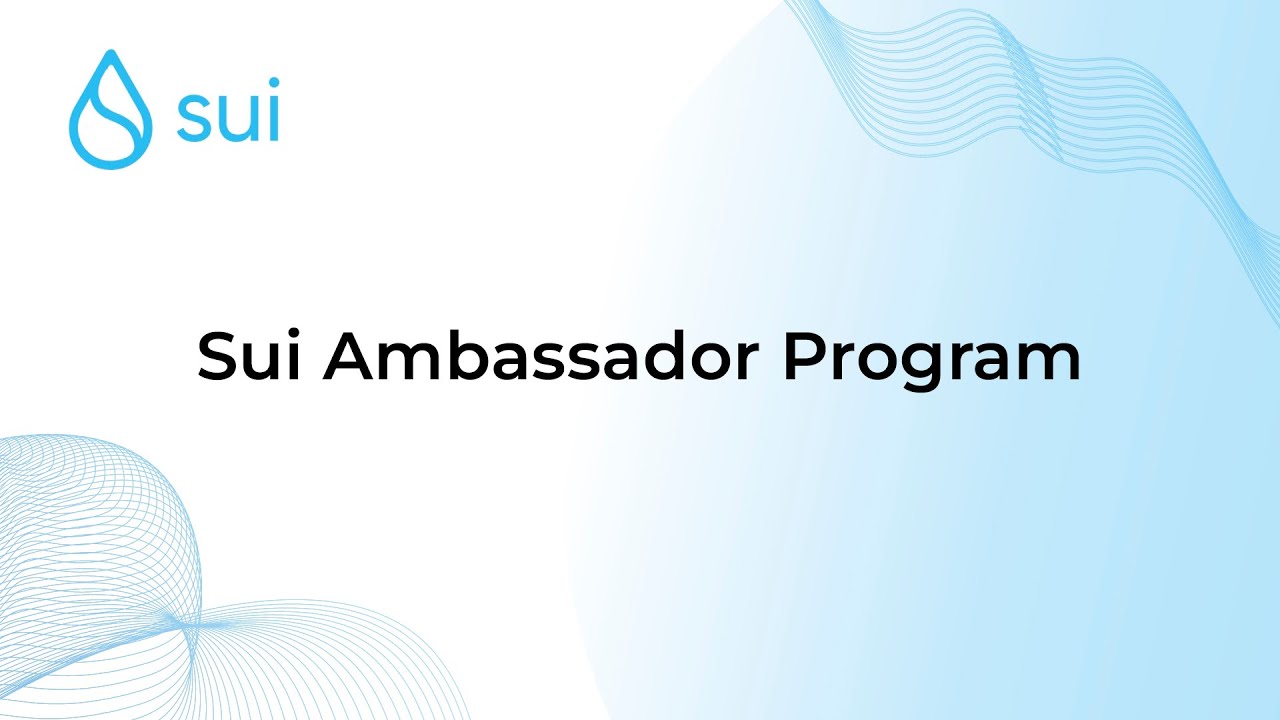FAQ about Sui Ambassador Program. Don't miss it! - YouTube
