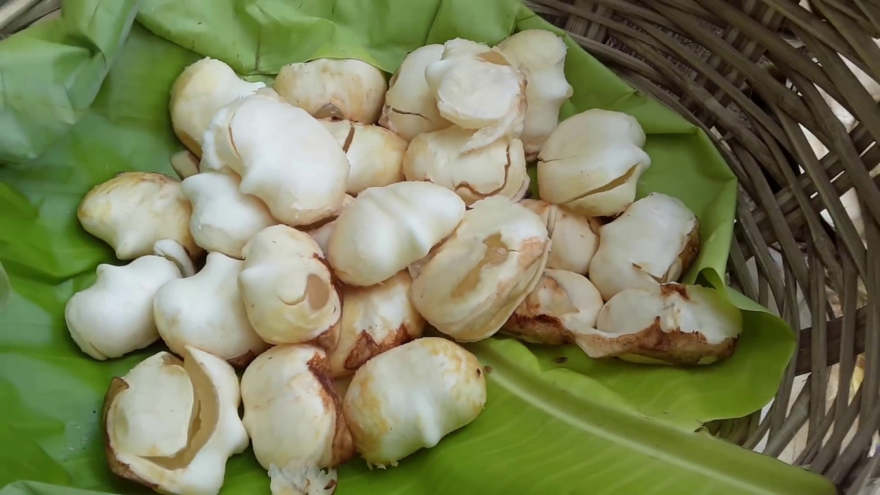 Indian Jelly Diamond Food Palmyra Palm ( Pallet Shells)Taal shaas ...