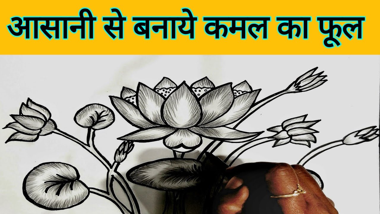 Lotus Flower Bomb Drawing