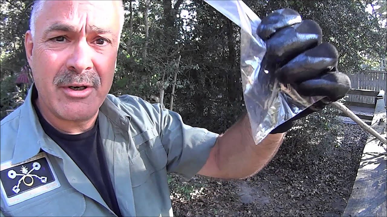 Lost Earring Cypress, Texas (found) by John Volek - Houston Metal ...