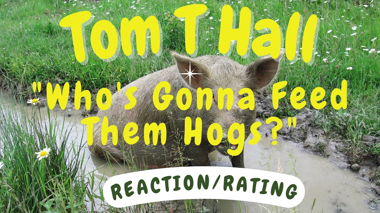 Tom T Hall -- Who's Gonna Feed Them Hogs? [REACTION/RATING] - YouTube