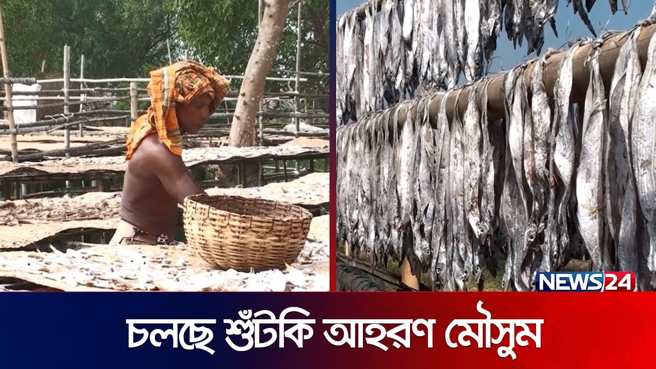 সুন্দরবনের দুবলার চরে চলছে শুঁটকি আহরণ মৌসুম | Dubla Island | Dry Fish ...