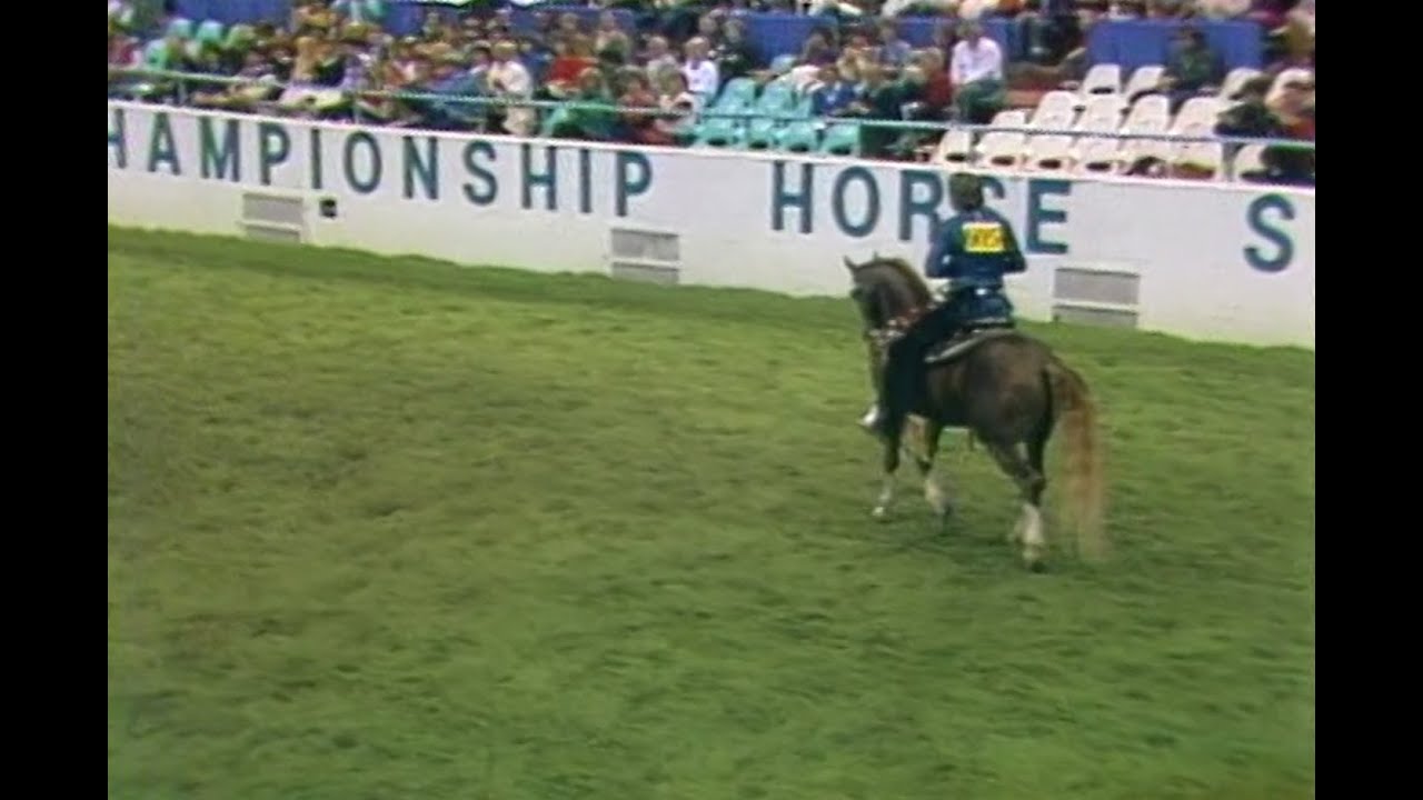 1985 U.S. Nationals Arabian Western Pleasure Open - YouTube