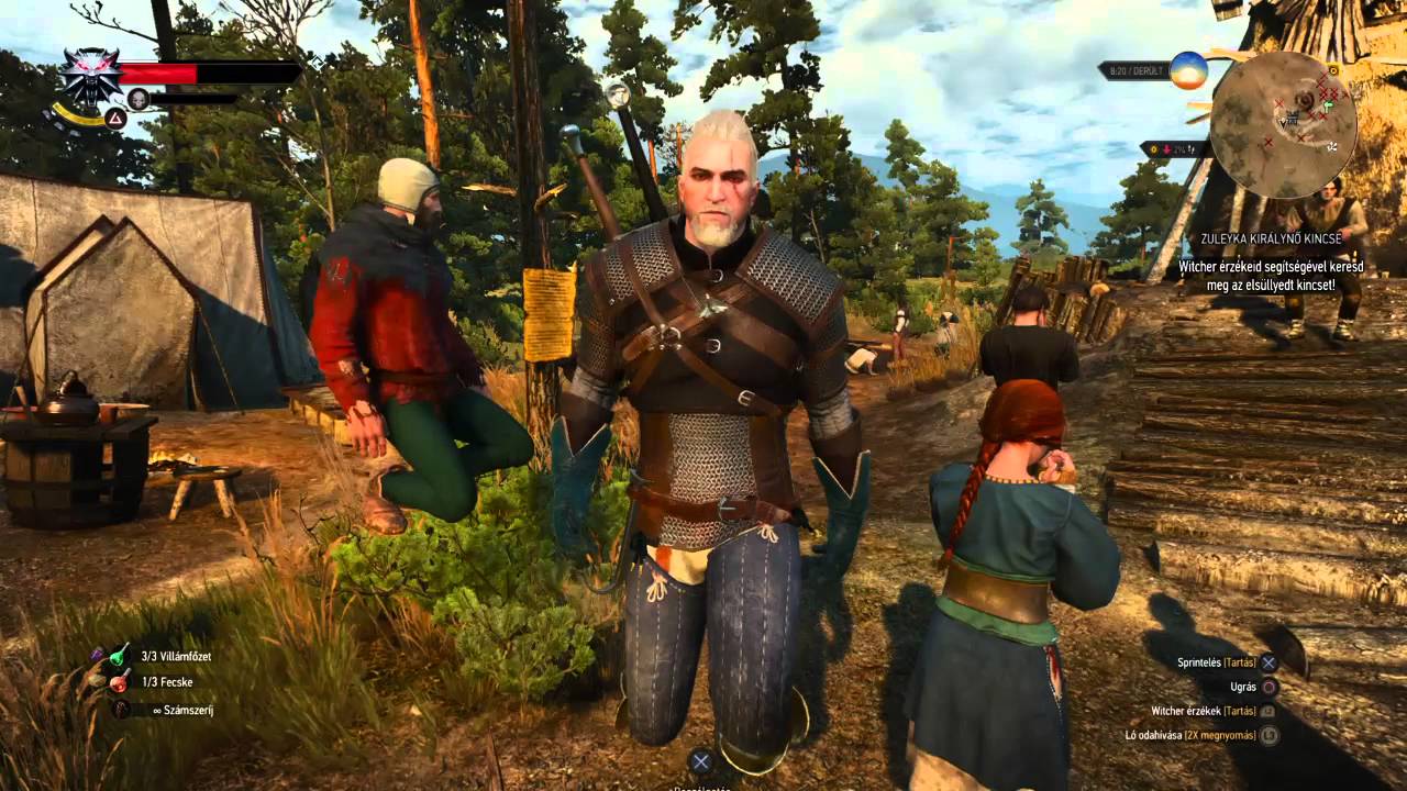 The Witcher 3: Wild Hunt funny bug - YouTube
