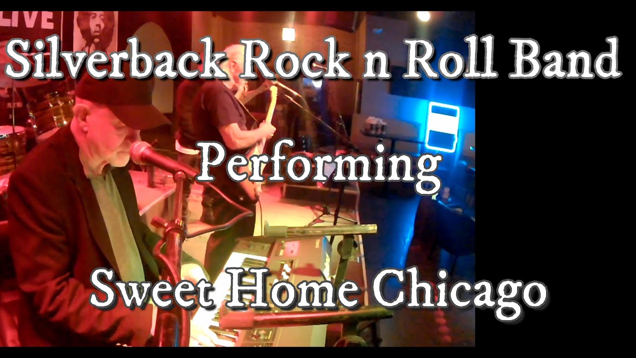 Look At Them Go!!! "Silverback Rock n Roll Band" performing "Sweet Home ...