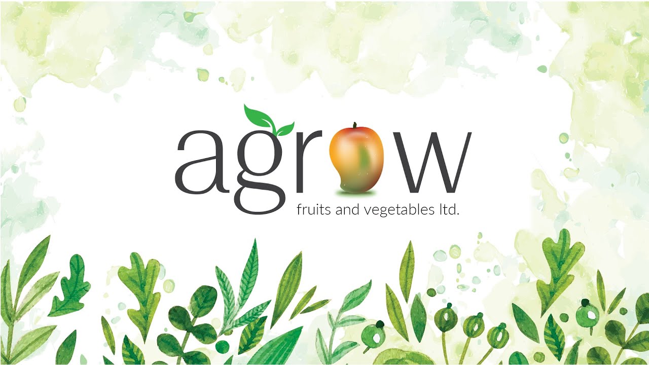 Agrow Fruits & Vegetables Ltd Aseptic Mango Pulp Processing - YouTube