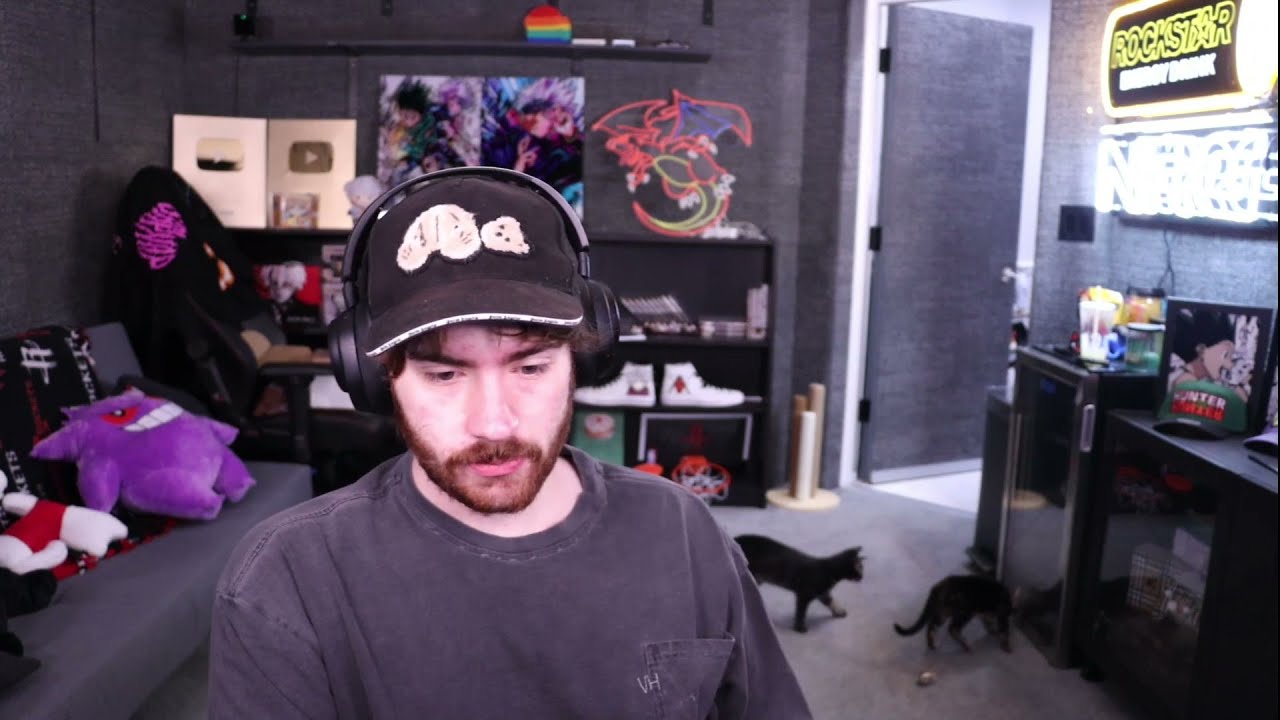 day 2 of being a cat father Sapnap Alt VOD (11/12/23) - YouTube