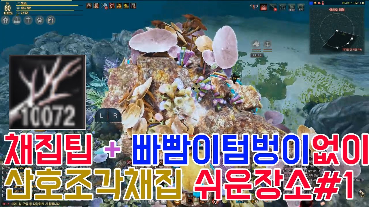 검은사막(BDO) - #1 빠밤이, 텀벙이 없이 호위선재료인 산호조각(Coral) 채집추천장소 - YouTube