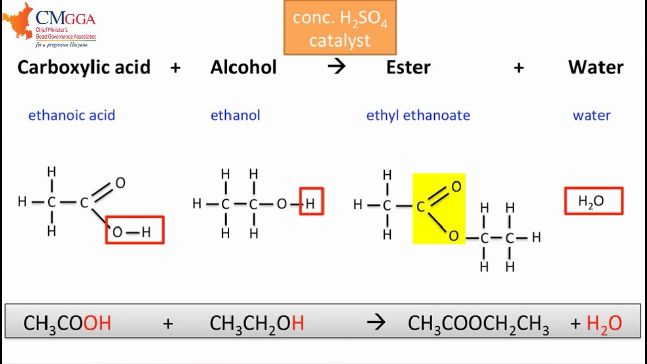 एस्टरीकरण | 2 marks Q | Esterification reaction | Science | Class 10 ...