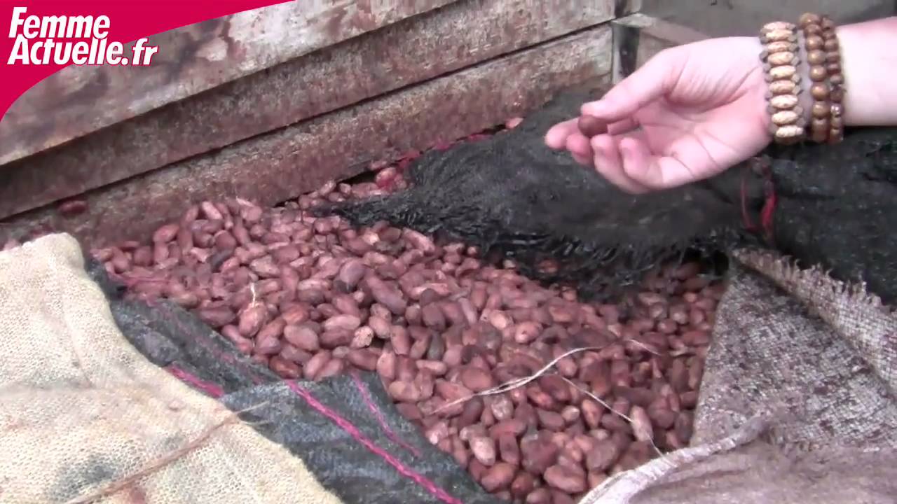 Voyage au Pérou, sur la route du cacao - YouTube