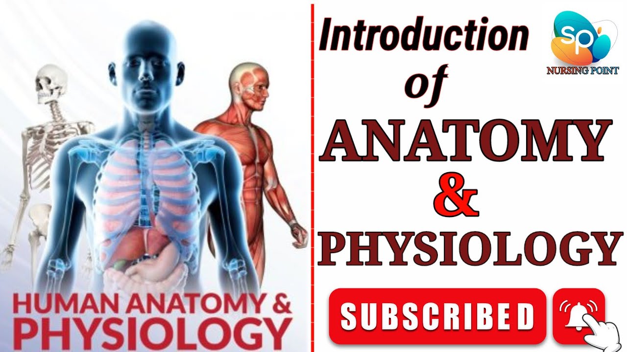 Introduction and Definition of Anatomy & physiology ||Anatomy and ...
