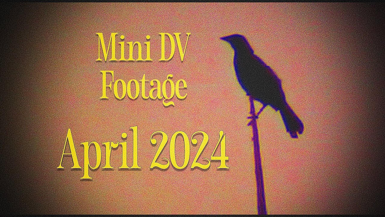 Mini DV Footage [April 24'] - YouTube