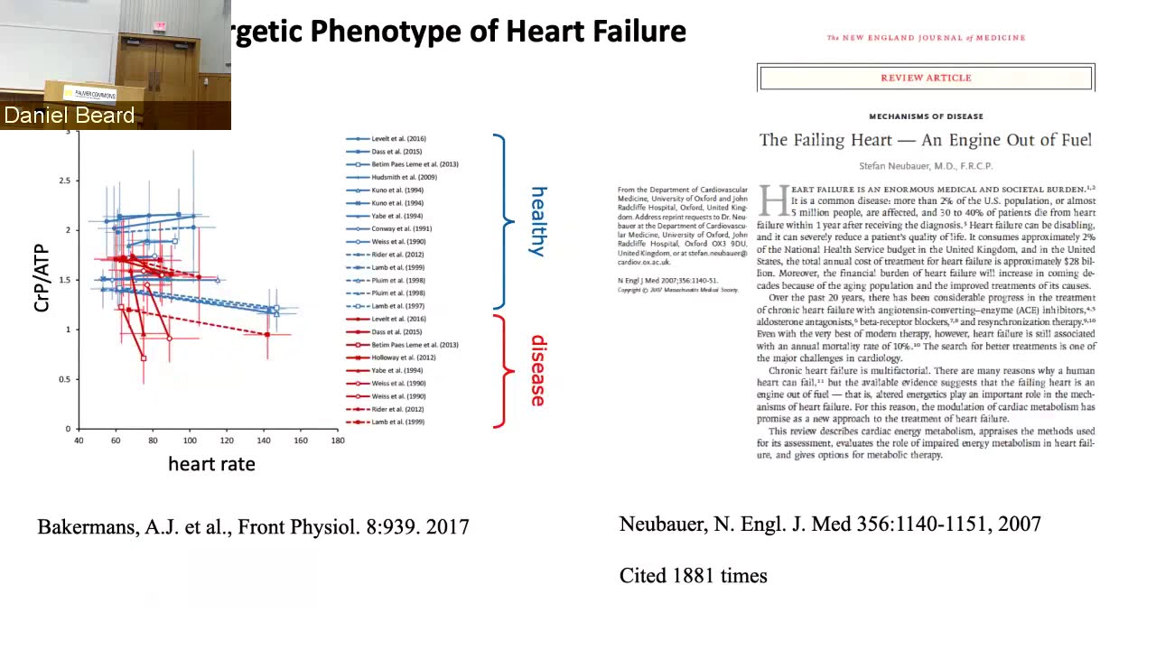 CCMB SEMINAR 02/12/2020 - Daniel Beard, PhD - YouTube