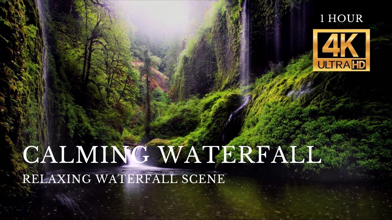 Calming Waterfall Scene | Relaxing Running Water | 1 Hour; 4K - YouTube