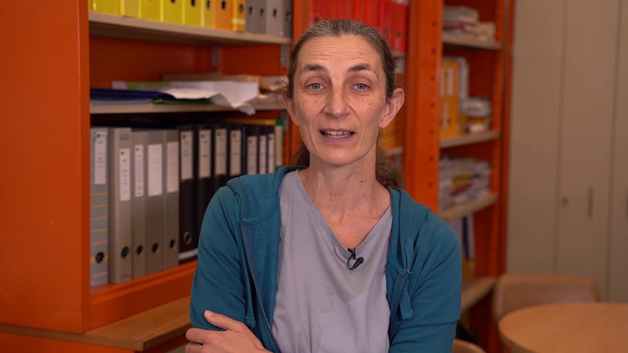 Entrevista - Dra. Silvia Di Marco - YouTube