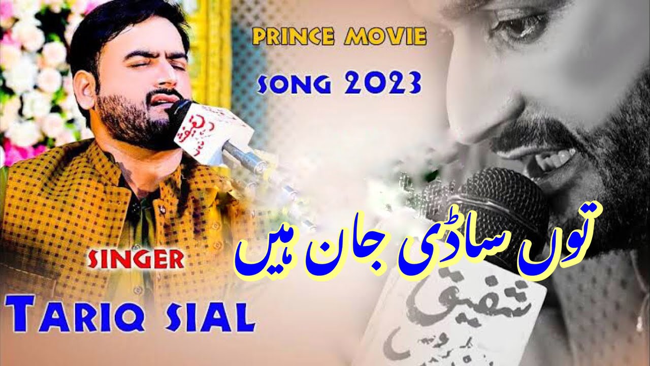 Tun Sadi Jan hain|Singer Tariq Sial|#tariqsial #sarikisong #viralvideo ...