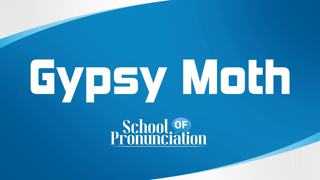 Learn How To Pronounce Gypsy Moth - YouTube