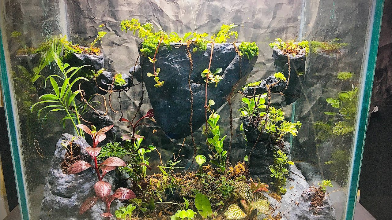 Avatar Floating Mountain Terrarium - YouTube