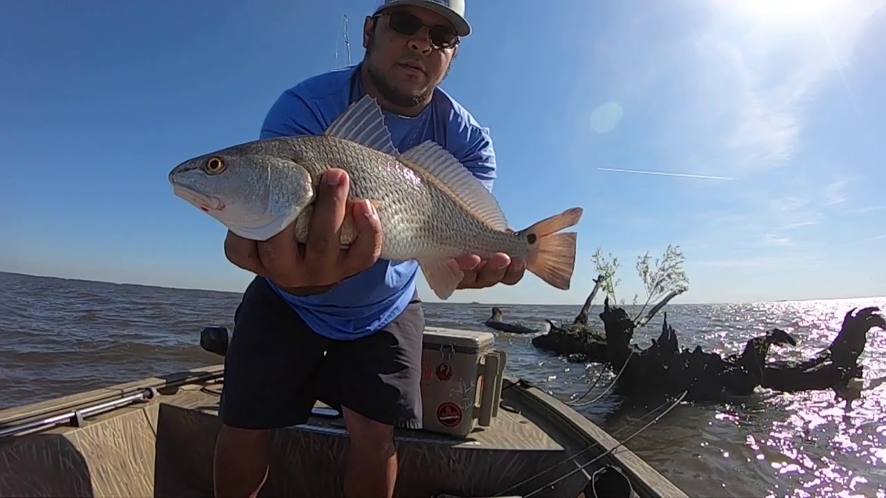 Bayou Tracker Series Vol 2 "Redfish in Da Bayou" 2 Man Limit!!! - YouTube
