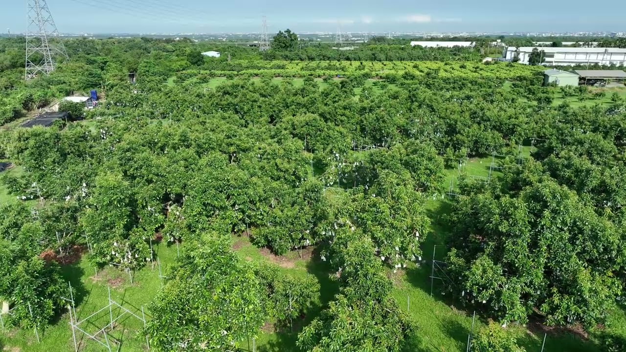 果園導覽 | gukengavocado