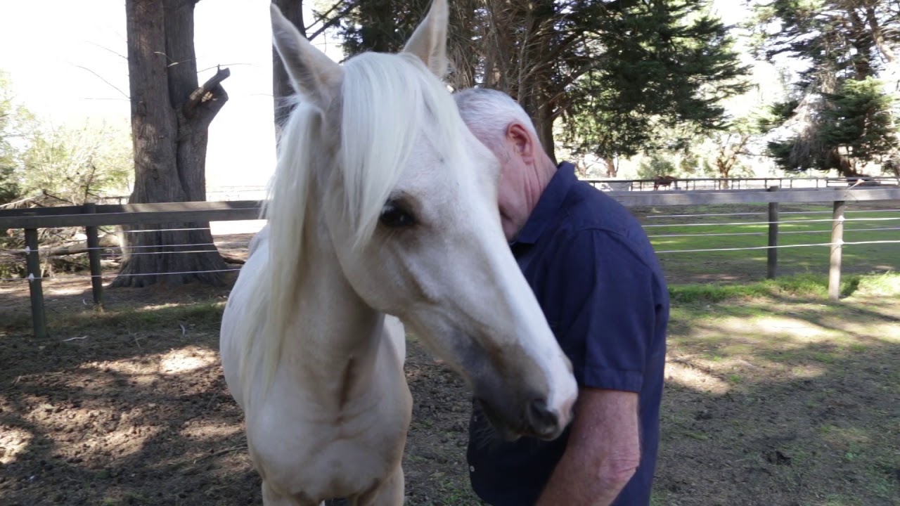 Attachment Theory with Dr Andrew McLean - YouTube
