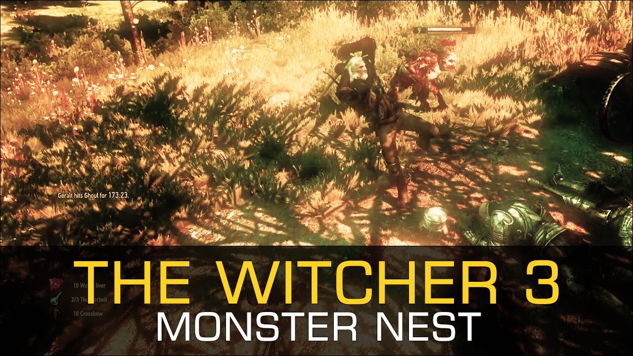 Monster Nest GHOUL NOVIGRAD VELEN - The Witcher 3 Wild Hunt Gameplay PC ...