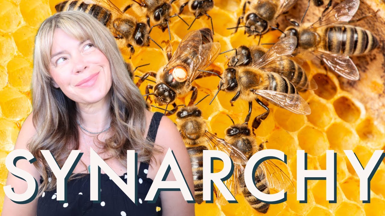 SYNARCHY - YouTube