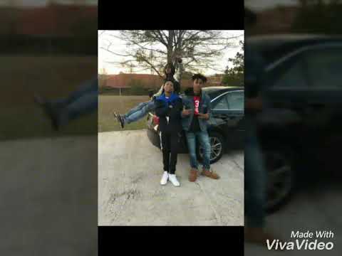 Ynl loopy & Ynl quon - facts