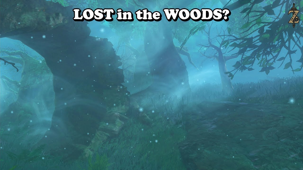 How to navigate and get through the Lost Woods in Zelda Breath of the ...