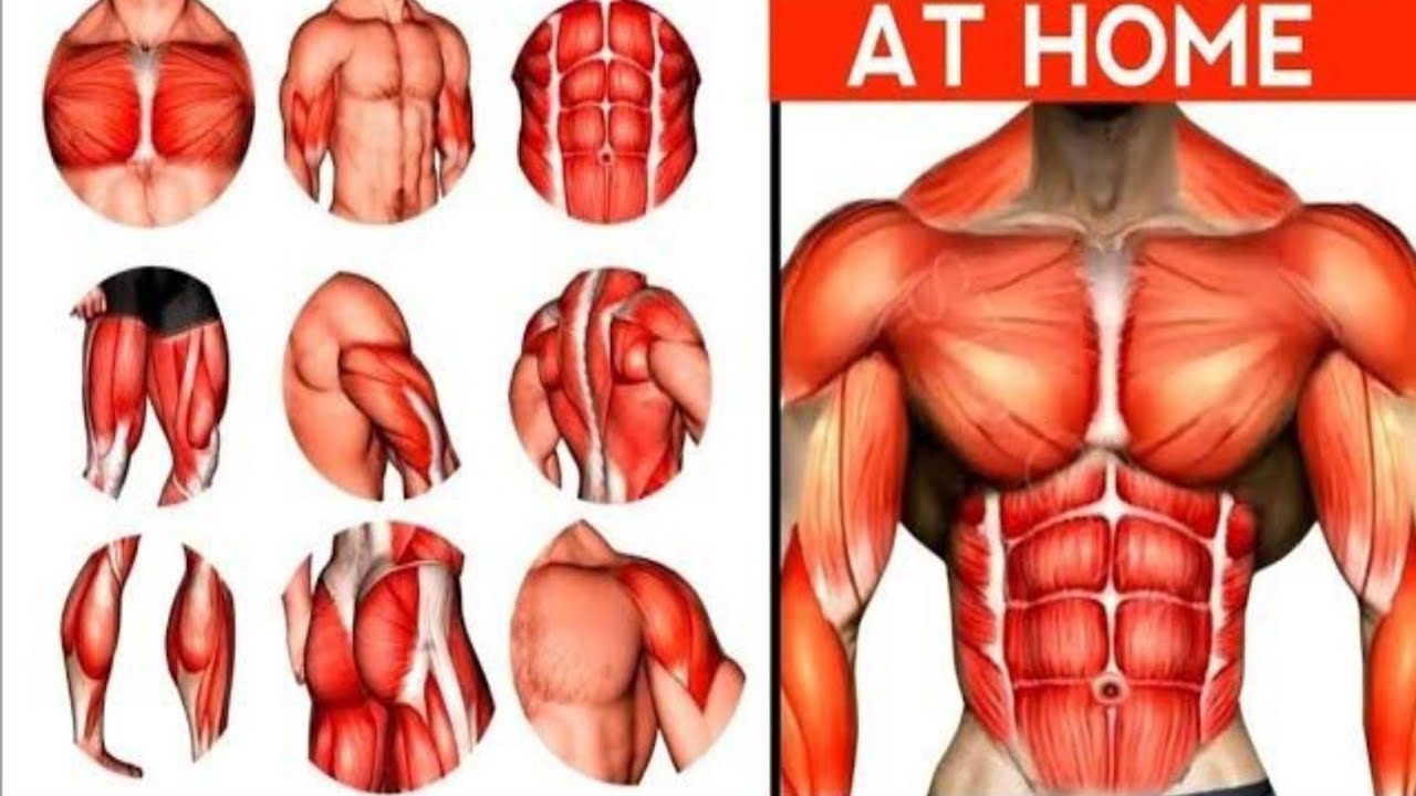 Complete Full Body Dumbbell Workout - YouTube