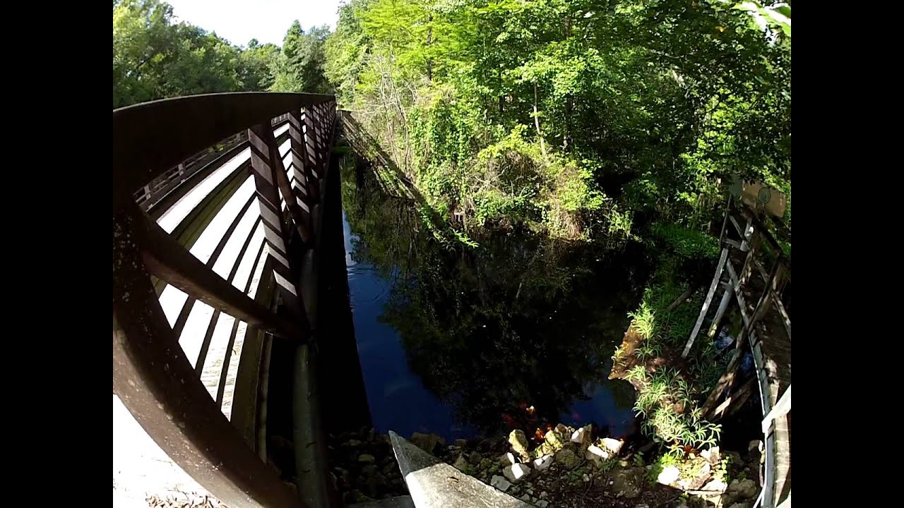 Bridges and Forest Roads in Green Swamp East - YouTube