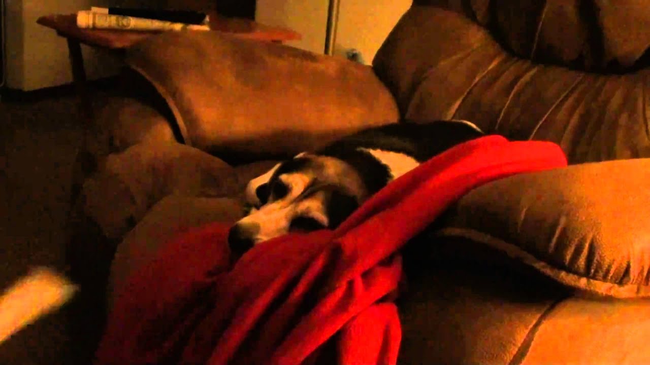 Dylan & Bailey Test - YouTube