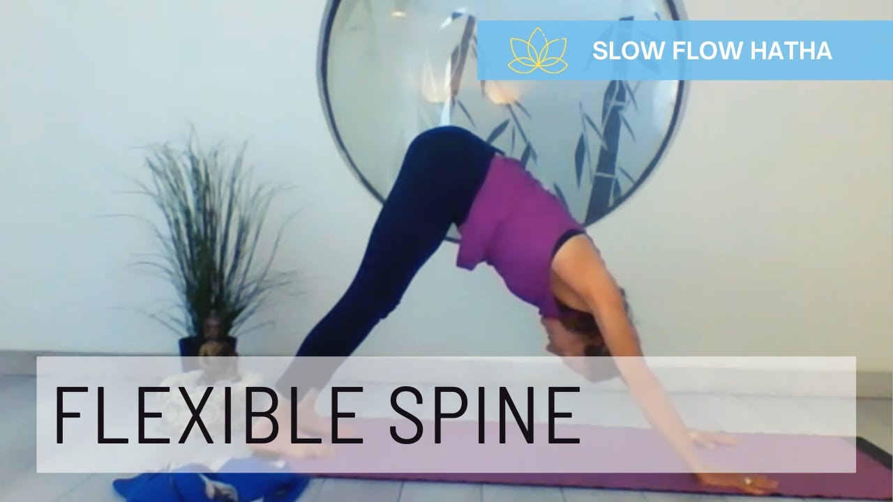 Flexible Spine | Slow Flow Hatha - YouTube