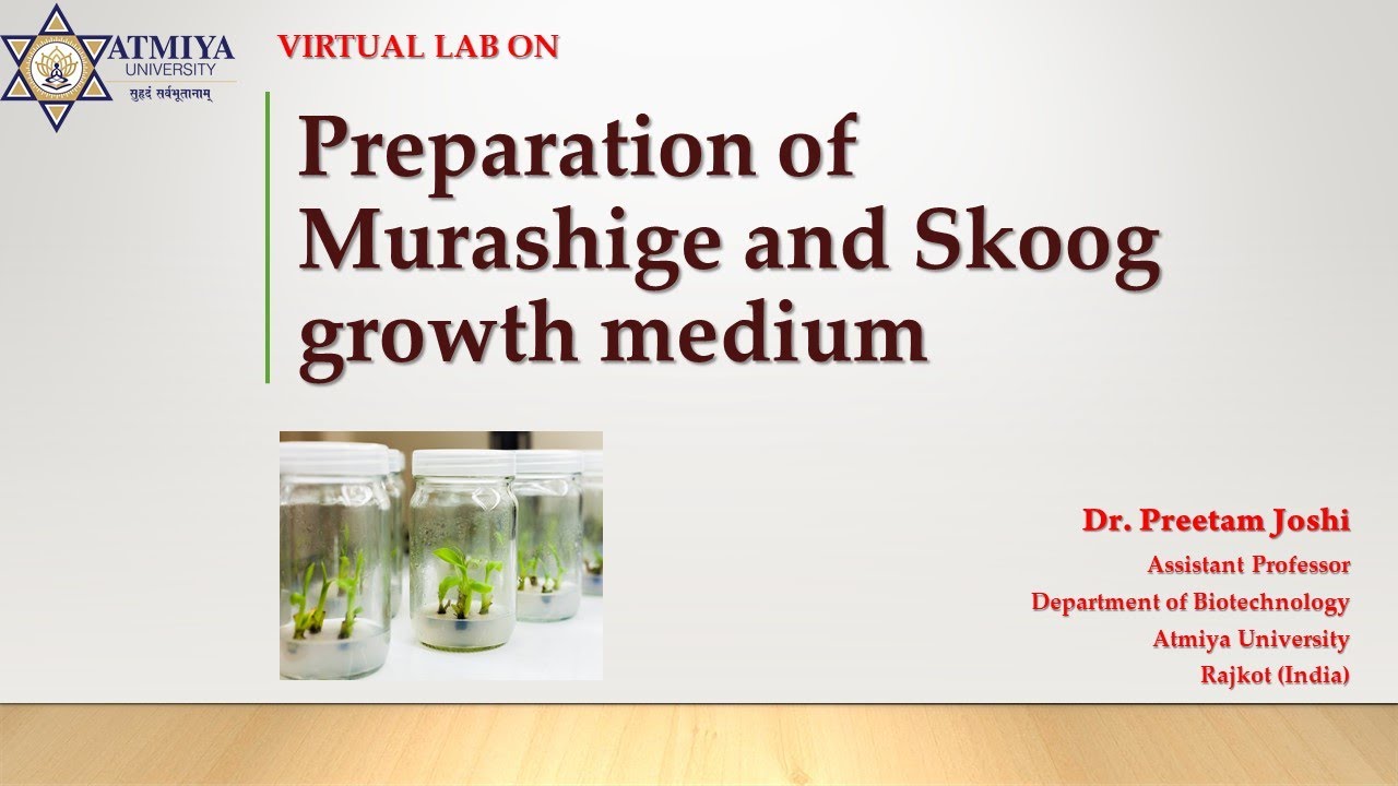 Murashige and Skoog medium preparation - Virtual Lab - YouTube