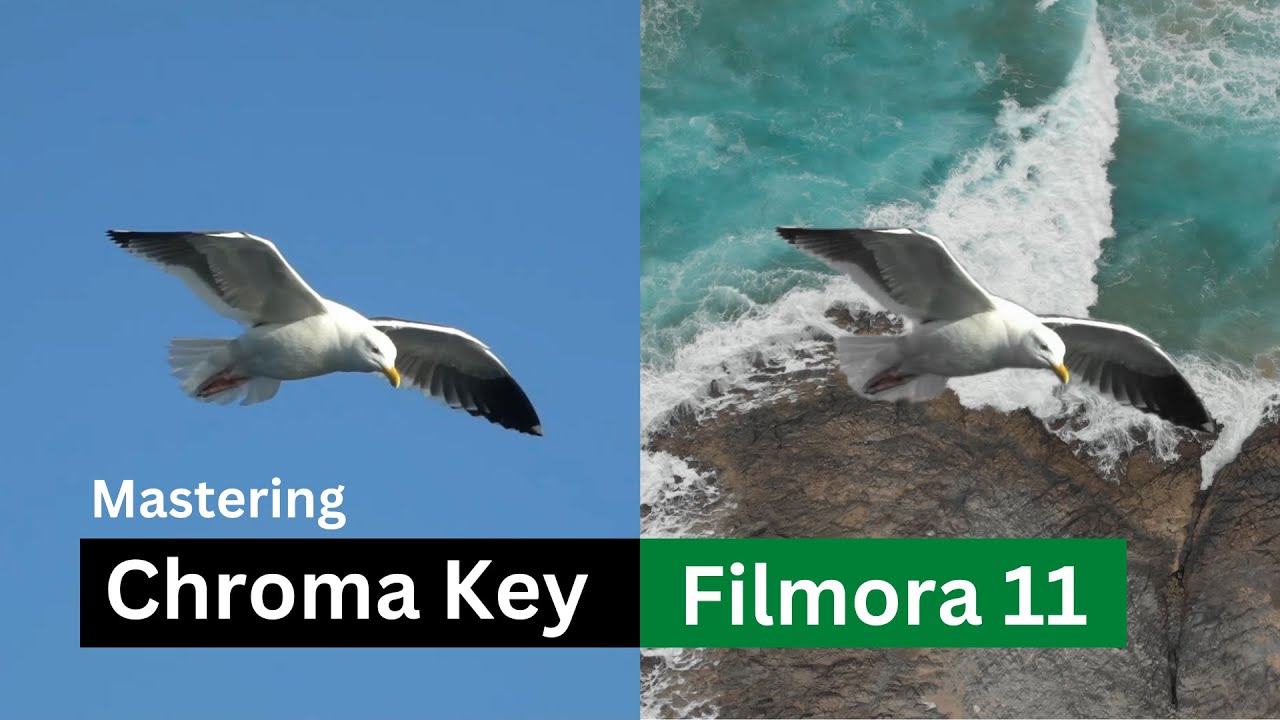 Mastering Chroma Key in Filmora 11 Video Editor - YouTube