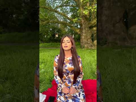 Berivan Schecho Dar hejiroke Karaoke Cover (Aynur Doğan-hejiroke)