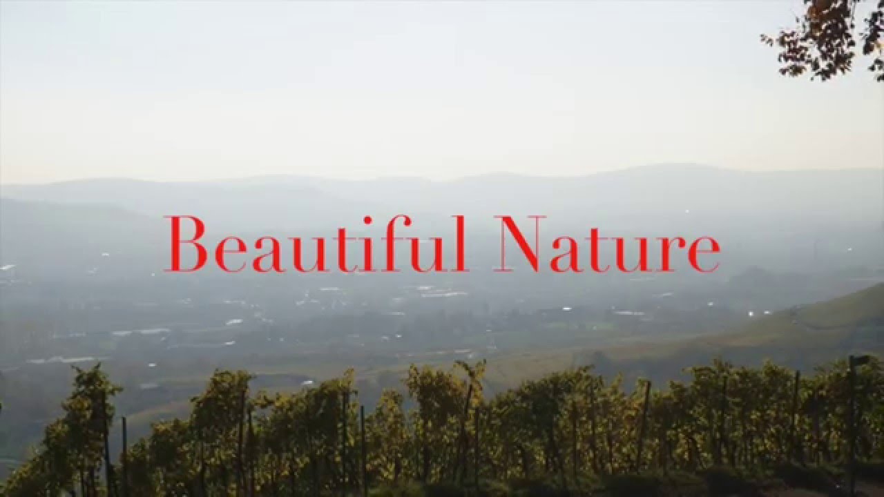 Beautiful Nature (Chill / Ambient) - YouTube