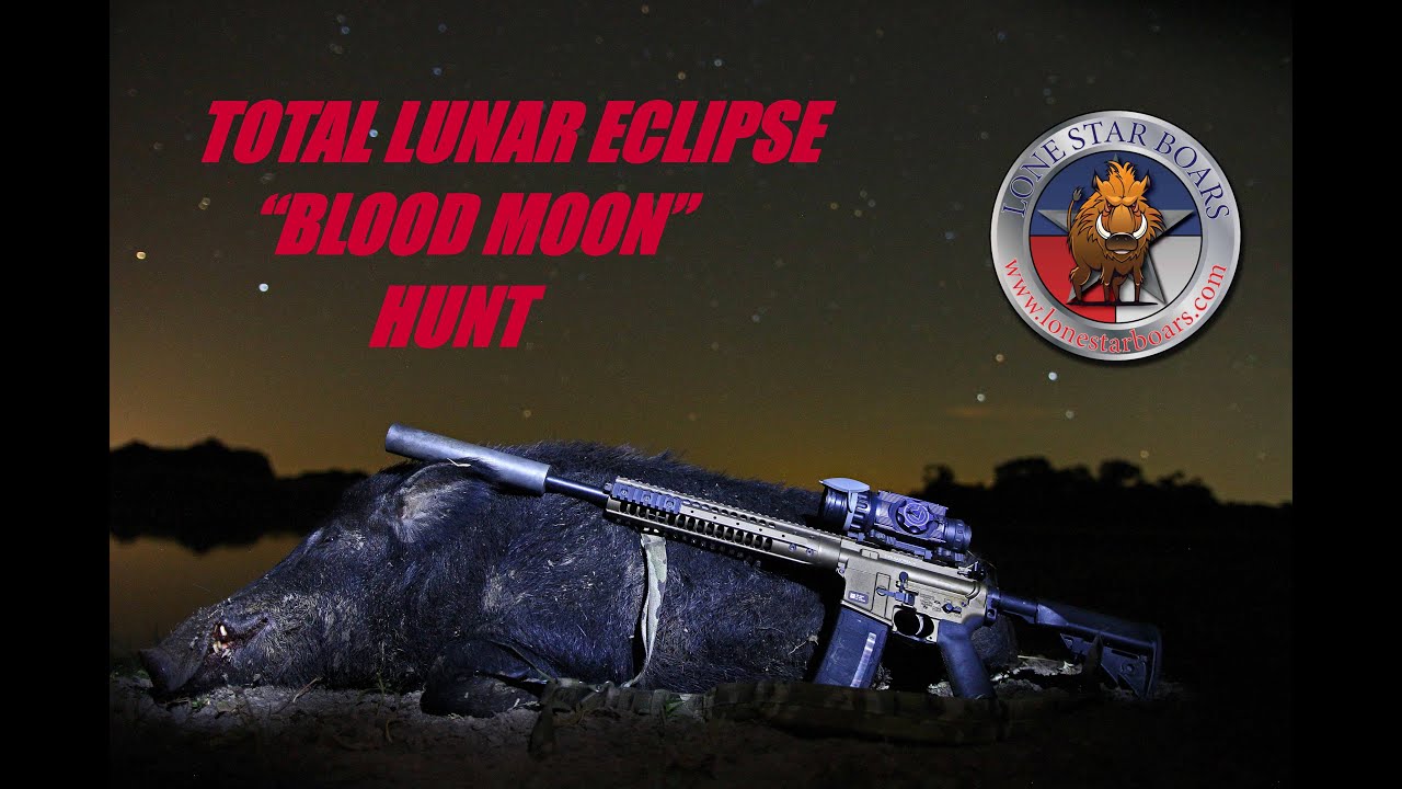 BOAR HUNT ON THE BLOOD MOON - YouTube