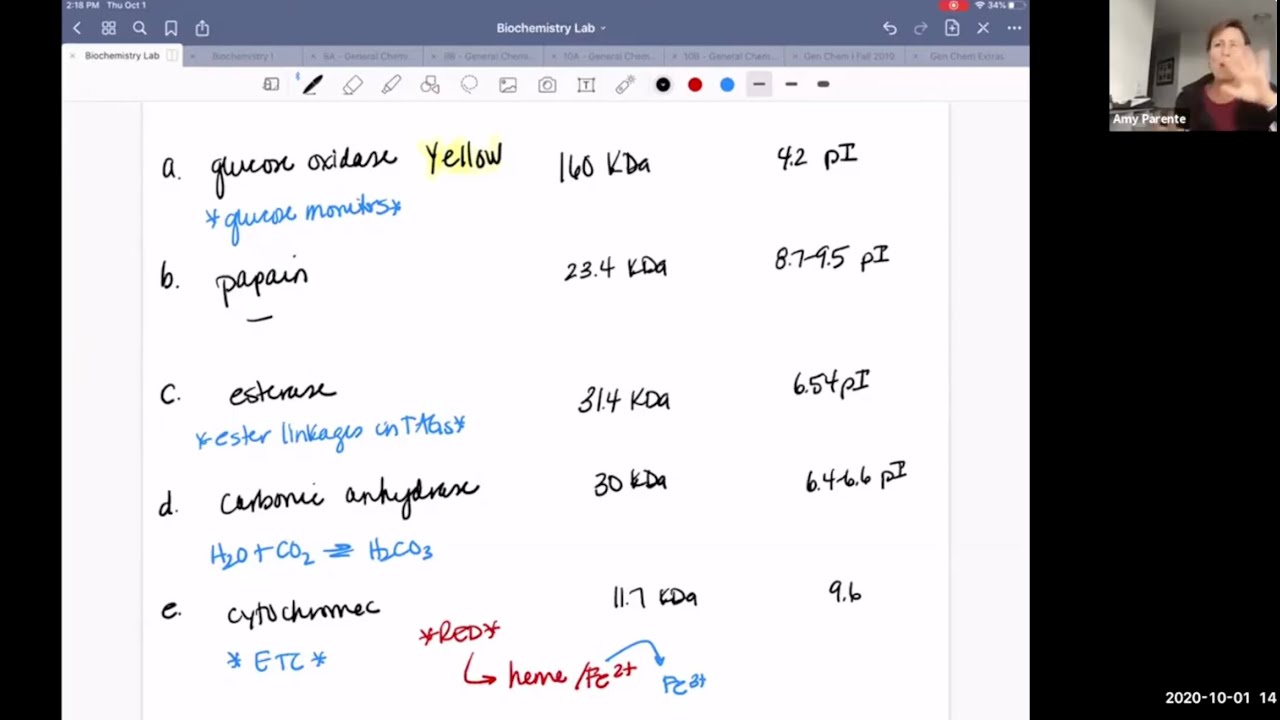 FPLC Purification Demo - Our 5 proteins - YouTube