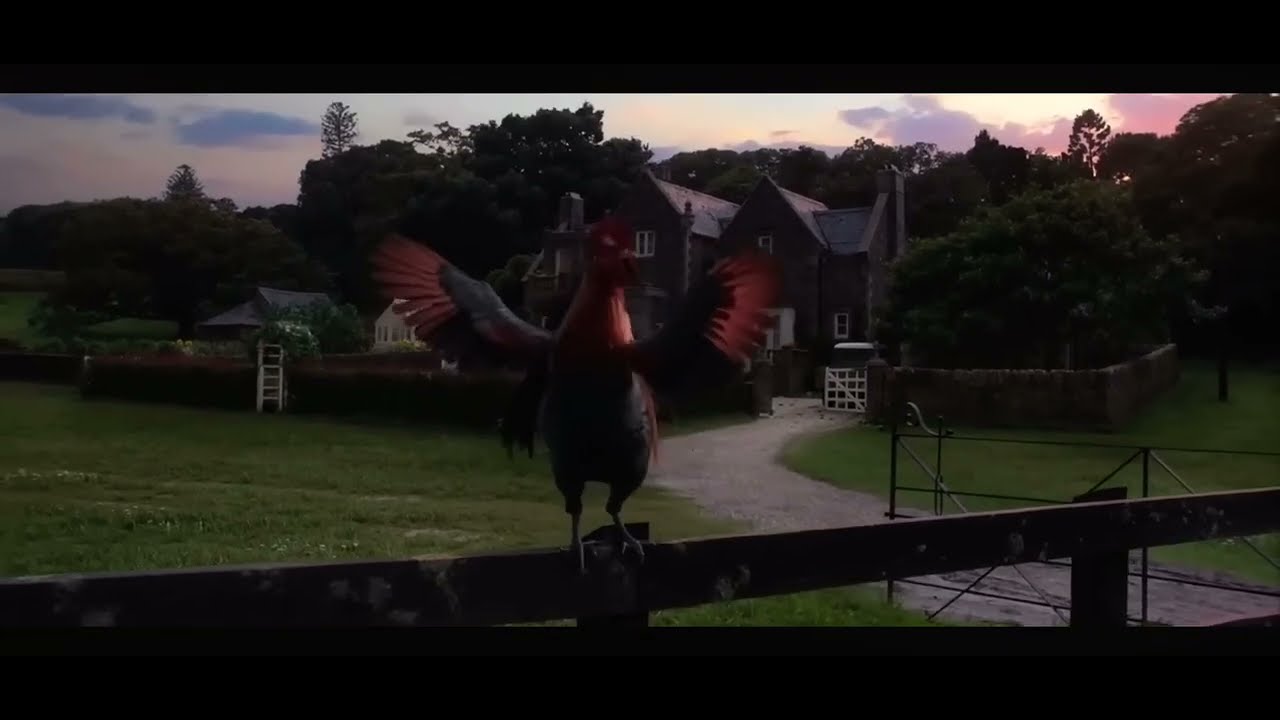 Peter Rabbit (2018) rooster crowing - YouTube