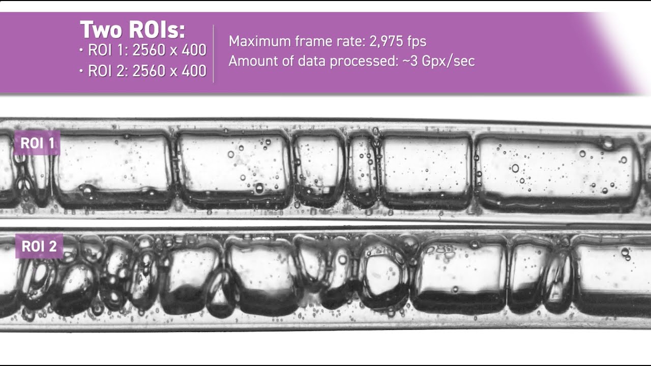 Phantom S641 with ROI – Processing 2 Cytometry Experiments at Once - YouTube