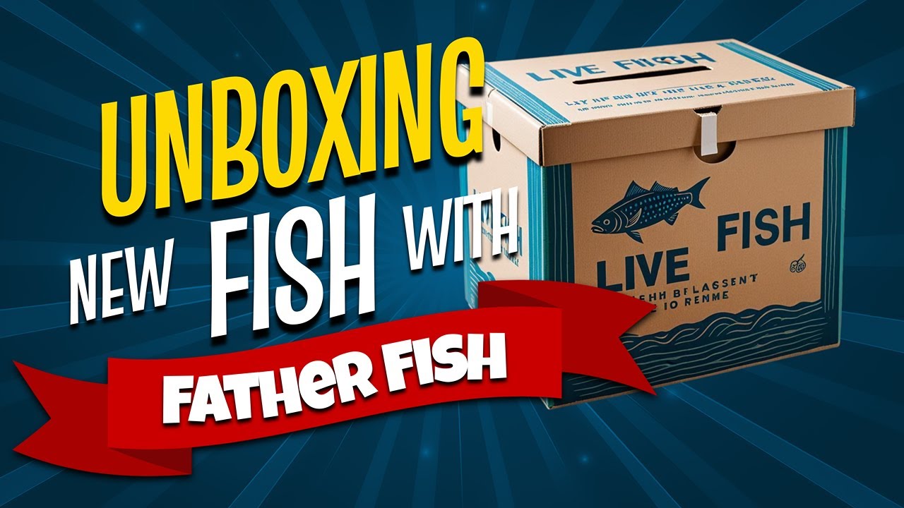 Father Fish Unboxes Exciting New Fish! Plus New Fish Room Tour! - YouTube