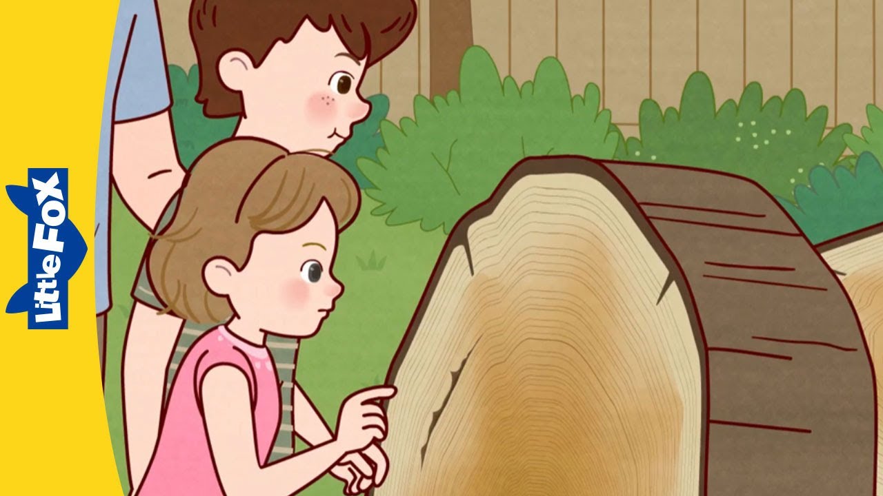 나무에서 지구의 역사를 읽을 수 있다고? | 영어동화 영어듣기 | The Tree's Tale - YouTube