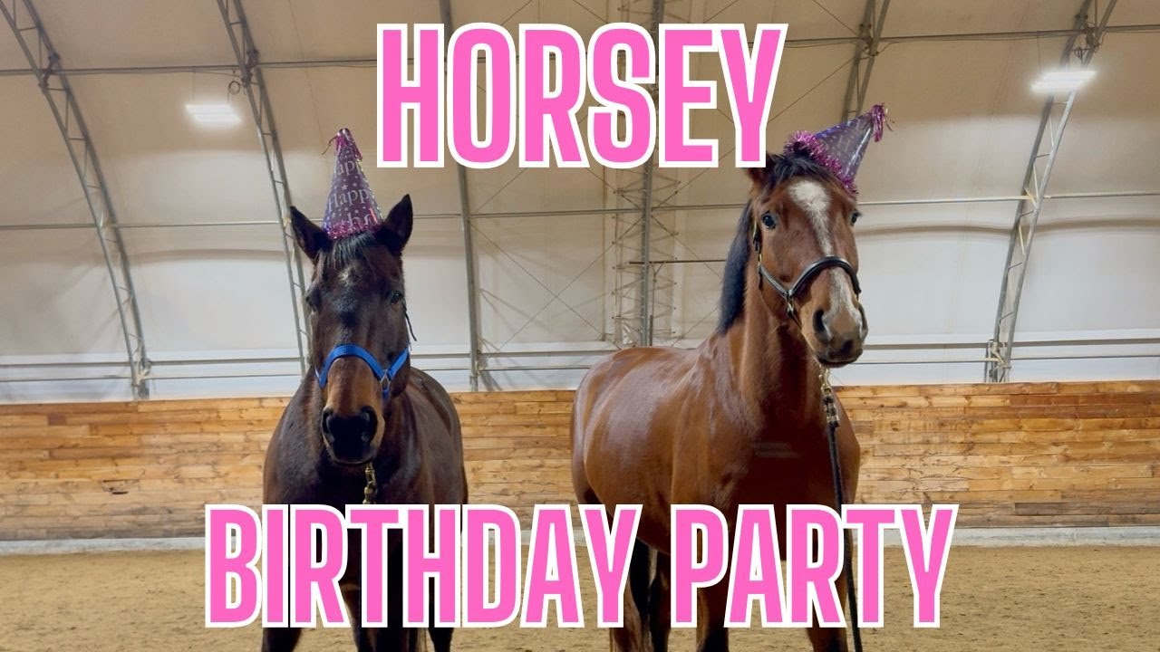 HORSEY BIRTHDAY PARTY and other fun - Mickey the OTTB turns 13! - YouTube