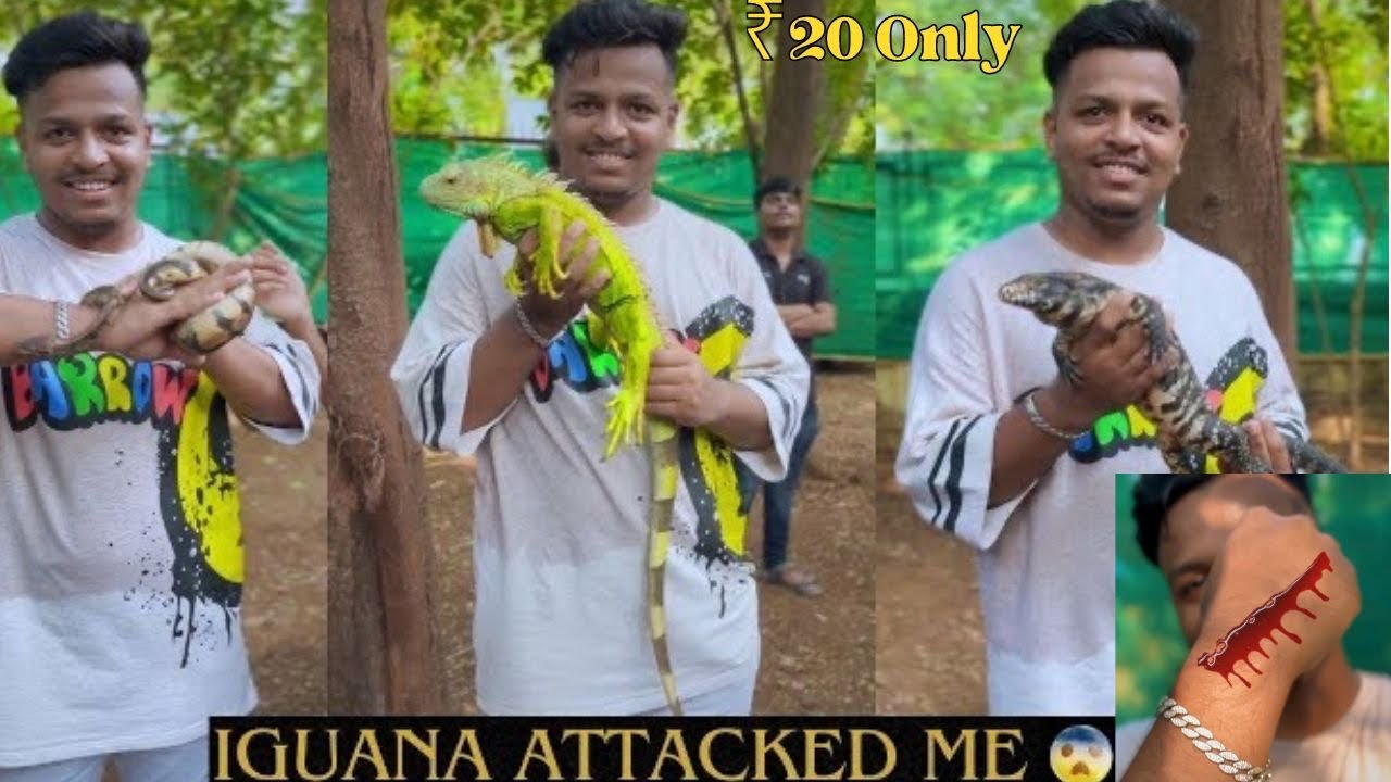 MARINE AQUA ZOO DADAR | दादर प्राणी संग्रहालय | Marine Aqua Zoo Full ...