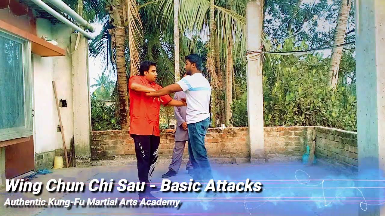 Wing Chun Kung Fu | Few Basic Chi Sau Attacks #india #kungfu # ...